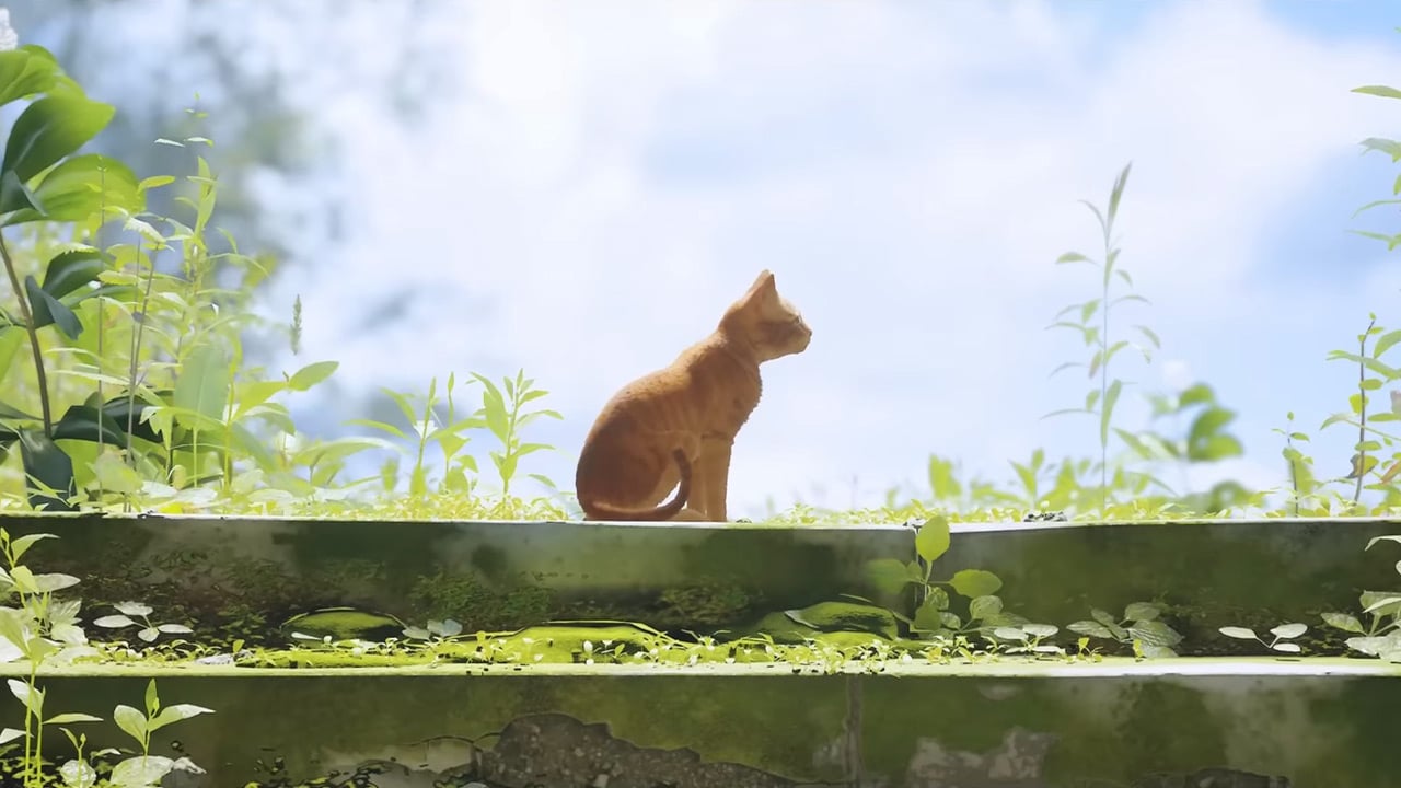 Stray: The Ending Explained | The Nerd Stash