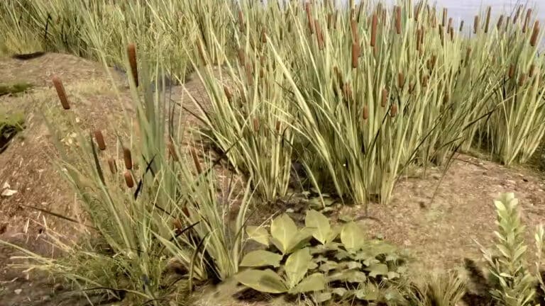 How to Get Straw in Medieval Dynasty | The Nerd Stash