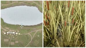 How to Get Straw in Medieval Dynasty | The Nerd Stash