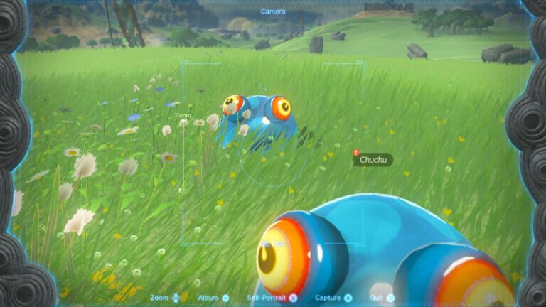 How To Complete Photographing a Chuchu in Zelda Tears of the Kingdom
