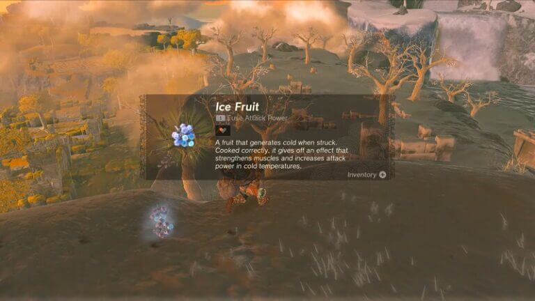How to Get Ice Fruit in Zelda Tears of the Kingdom