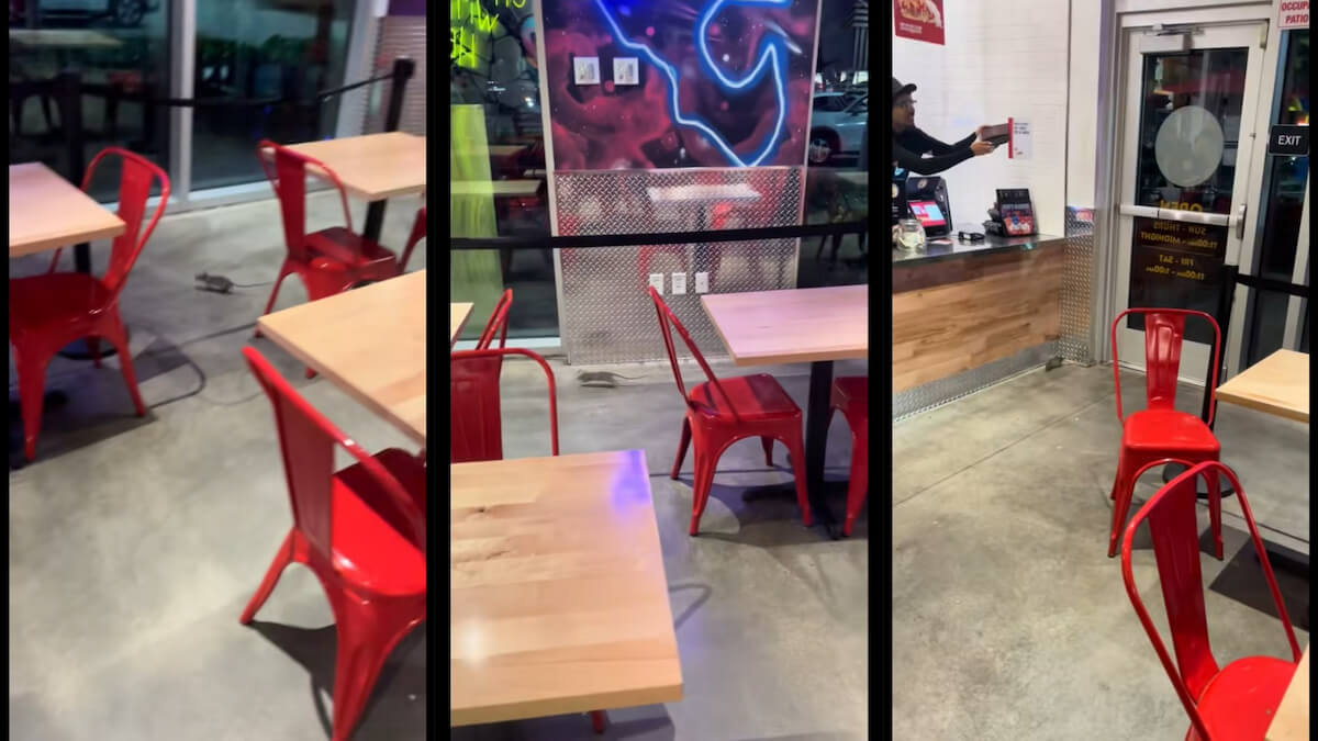 Rat Seen Running Inside Dave’s Hot Chicken in Pembroke Pines, Customer ...