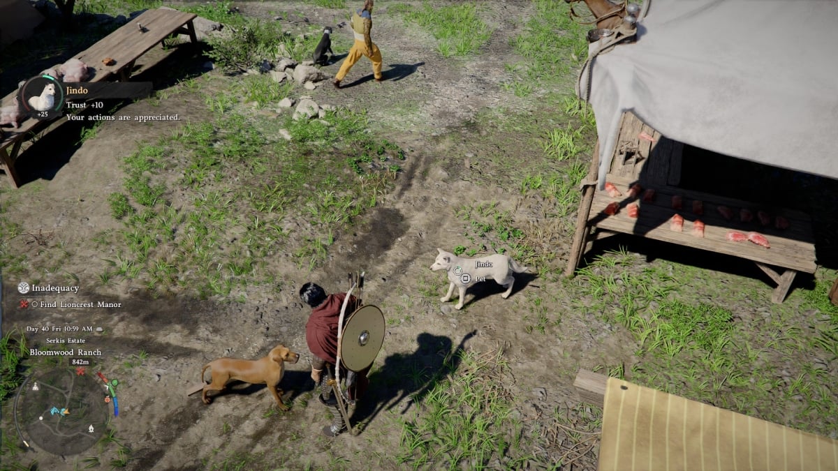 How To Befriend Dogs and Cats in Crimson Desert | The Nerd Stash