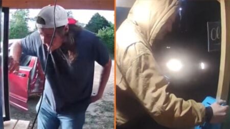 Arkansas Locals Furious After Man Caught on Camera Stealing From Farm ...